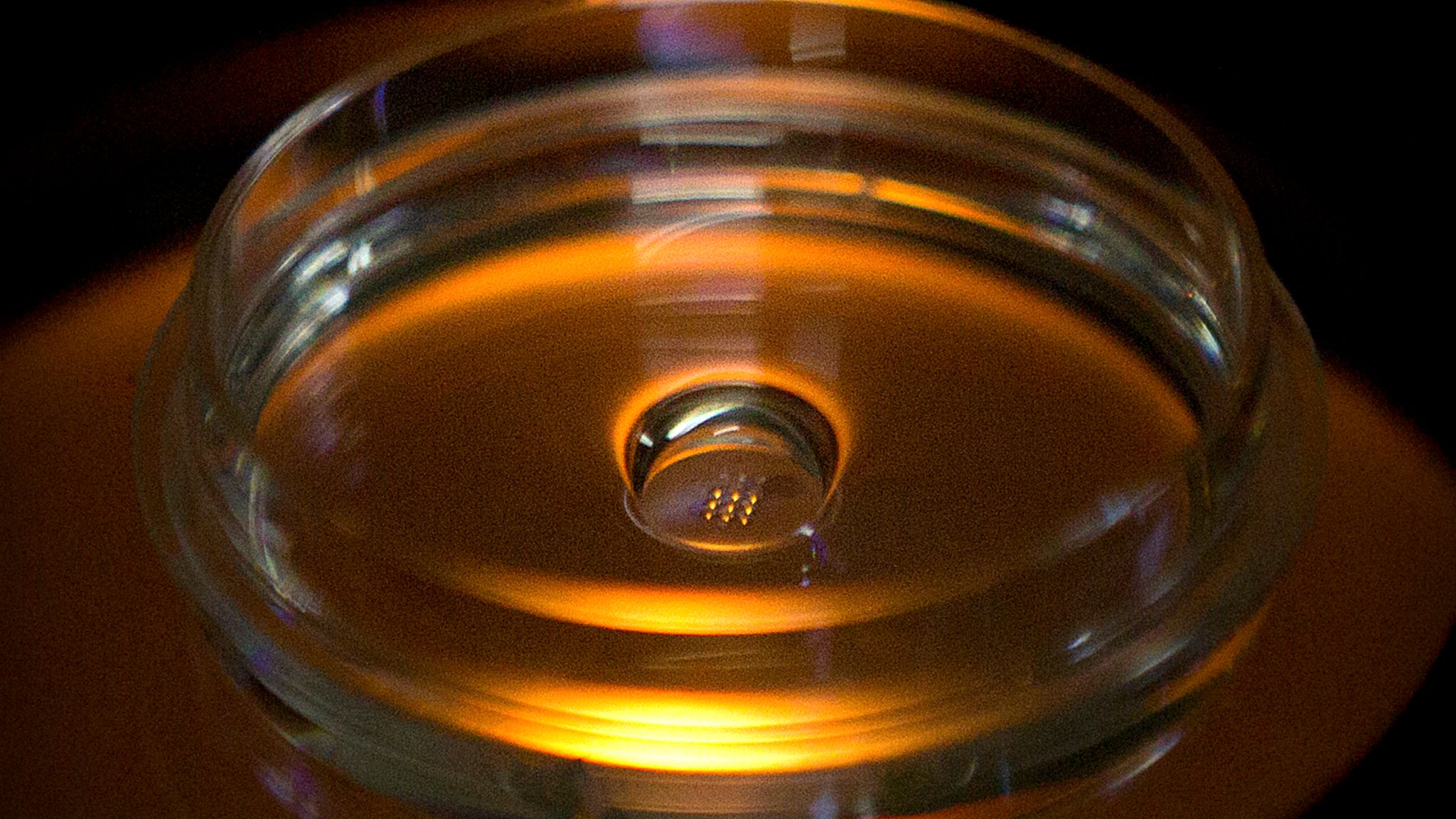 Scientists create synthetic human embryos using stem cells in major ...