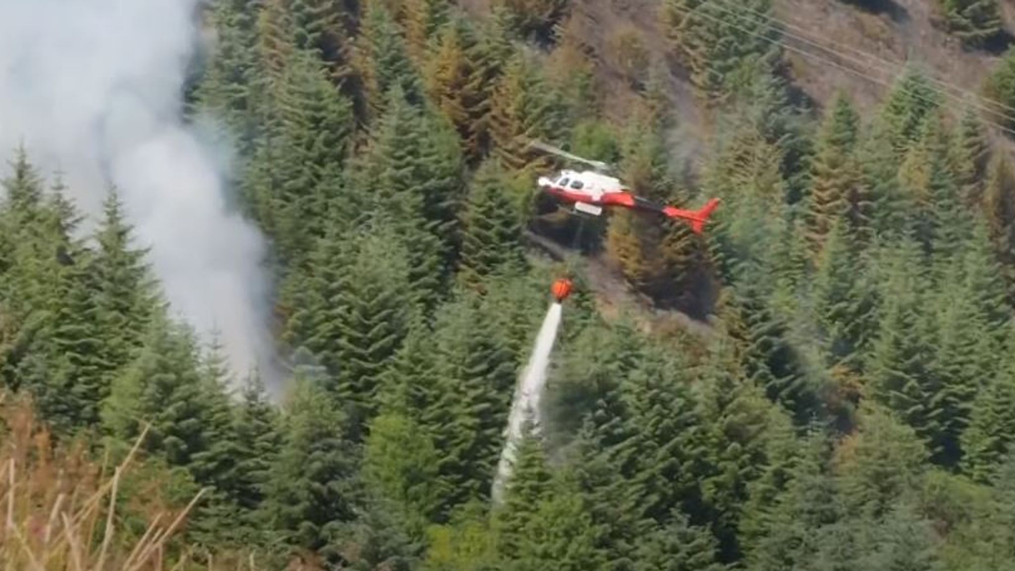 UK heatwave: Risk of wildfires over England and parts of Wales raised ...