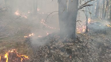 Massive wildfire in Scottish Highlands has burned nearly six square ...