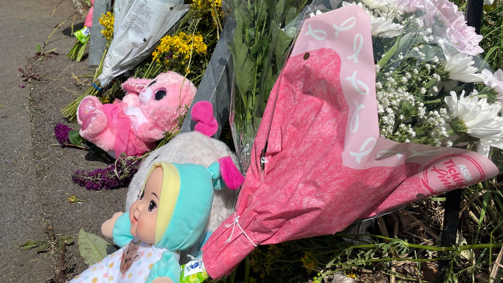 Seven-year-old girl killed in motorbike hit-and-run in Walsall named - as teenager arrested | UK ...