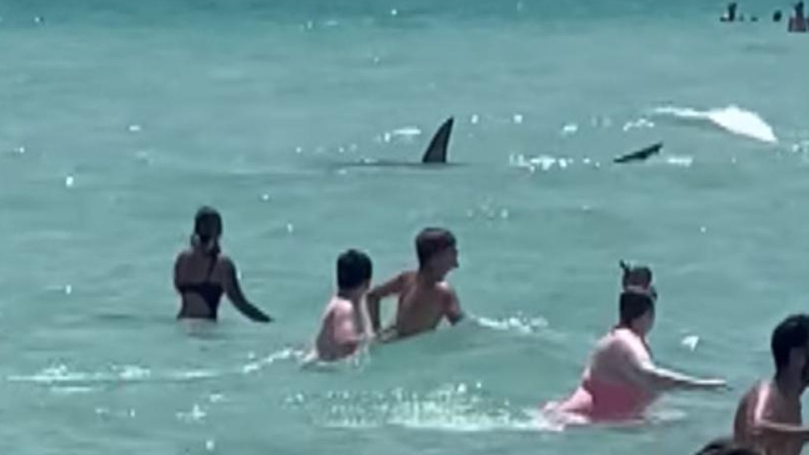 Shark spotted near swimmers at Florida beach | US News | Sky News