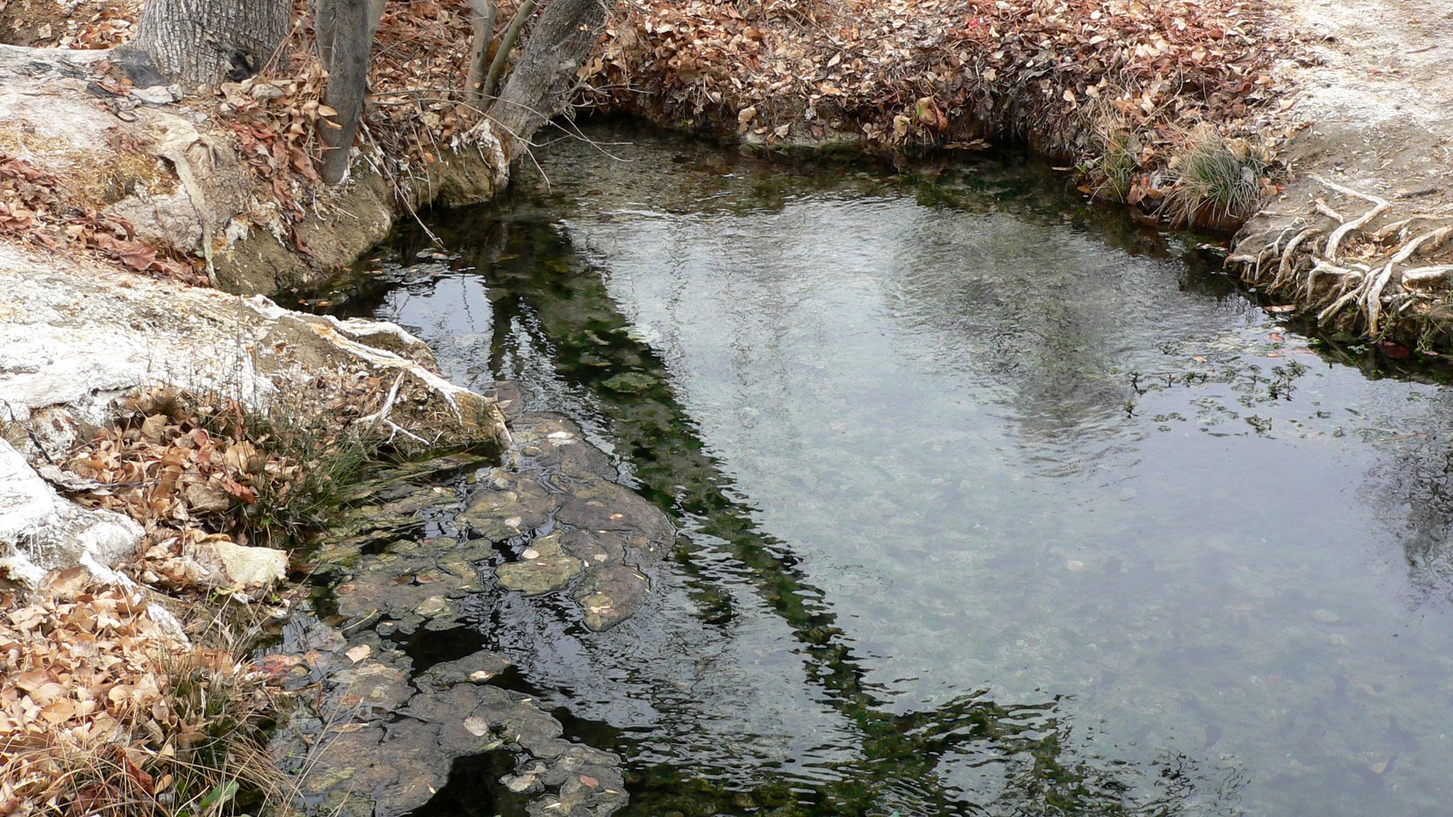 Two-year-old dies from brain-eating amoeba | US News | Sky News
