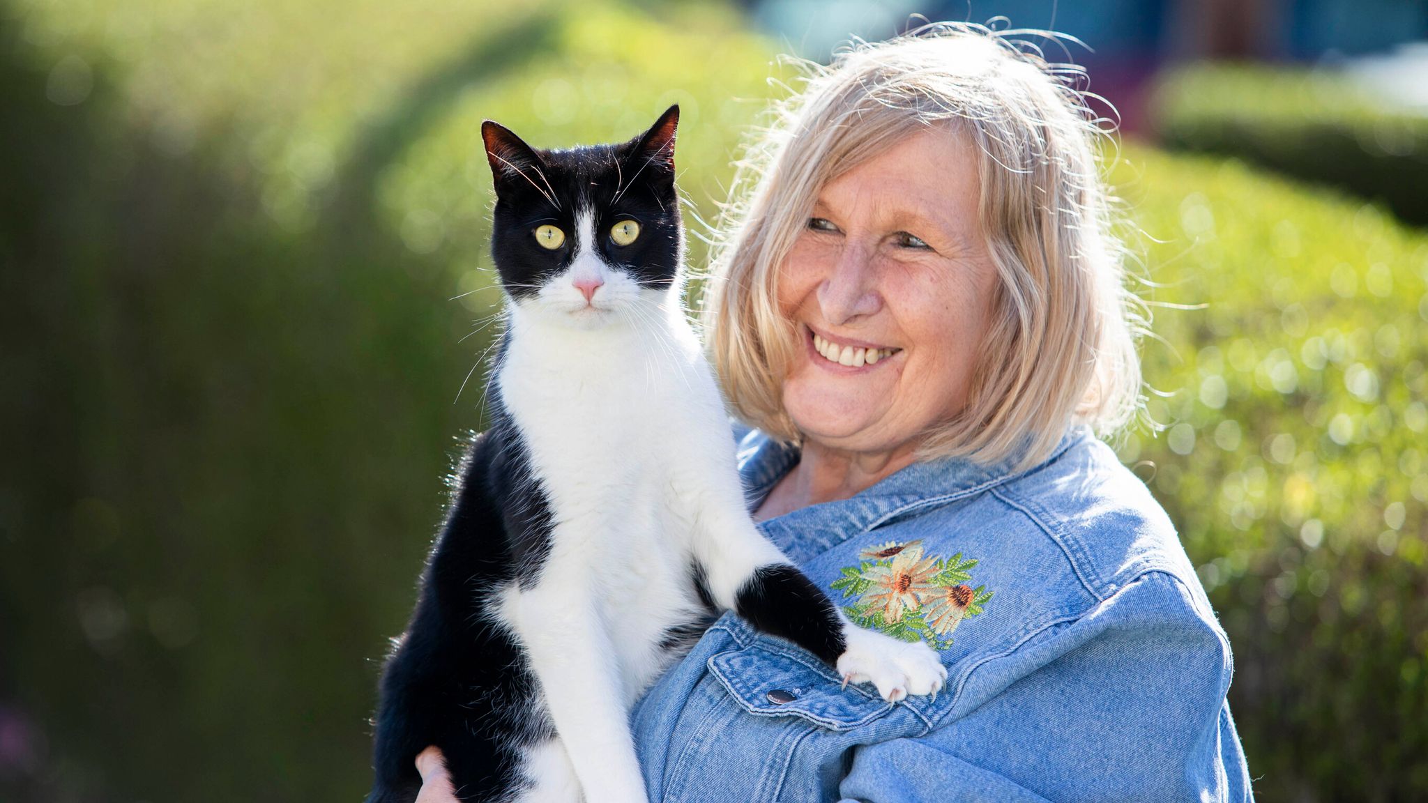 Cat Of The Year: Moggy who helps his deaf owner by tapping when phone ...