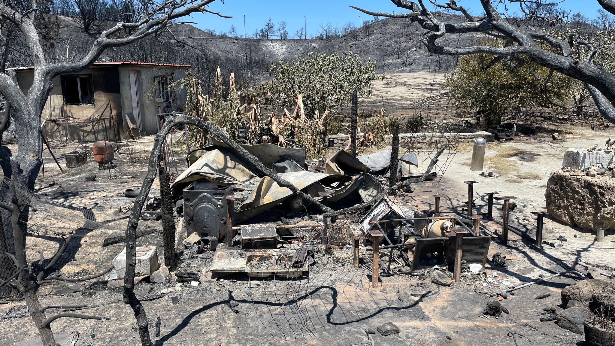 'I have nothing left': Rhodes stable owner picks up the pieces after ...