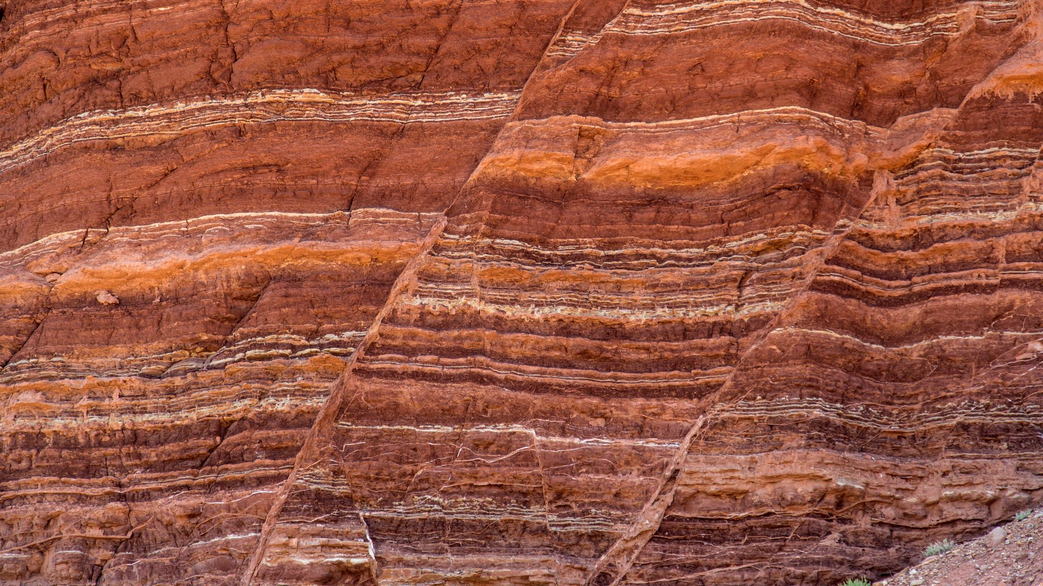 Earth moves closer to Anthropocene epoch as surface shows indelible ...