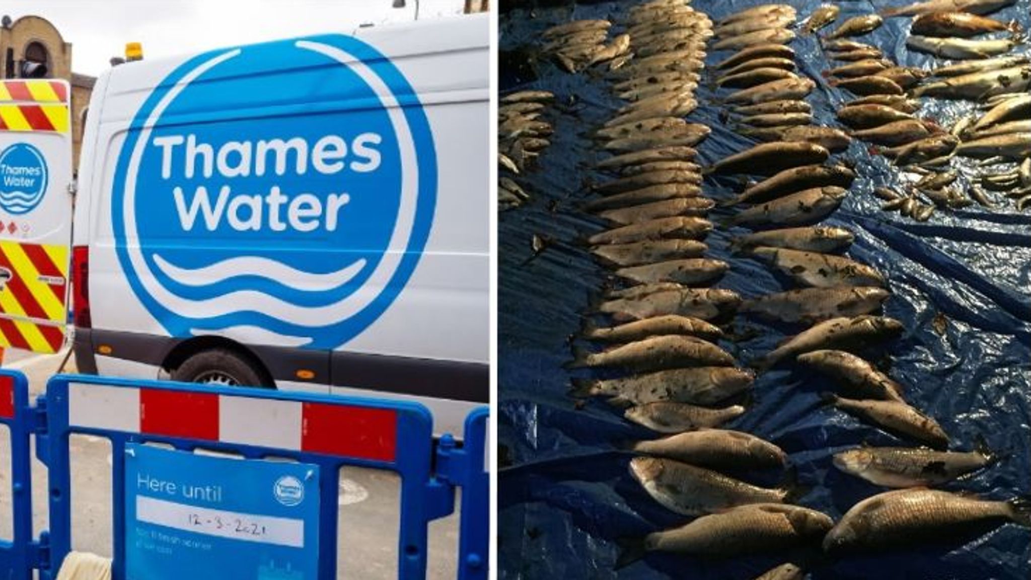 Thames Water reveals leap in pollution incidents | Money News | Sky News