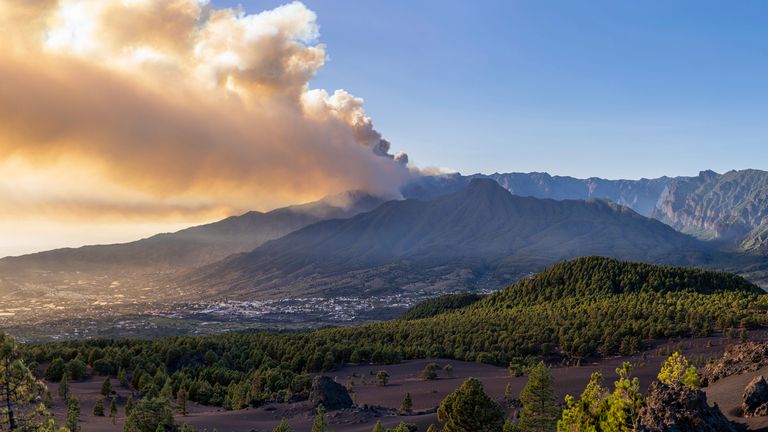 Sky Sports - Sports News, Transfers, Scores | Watch Live Sport