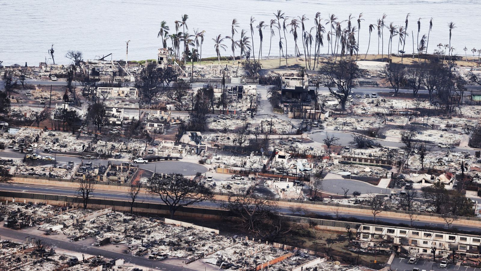 Hawaii wildfires: King and Queen 'utterly horrified' after at least 80 ...