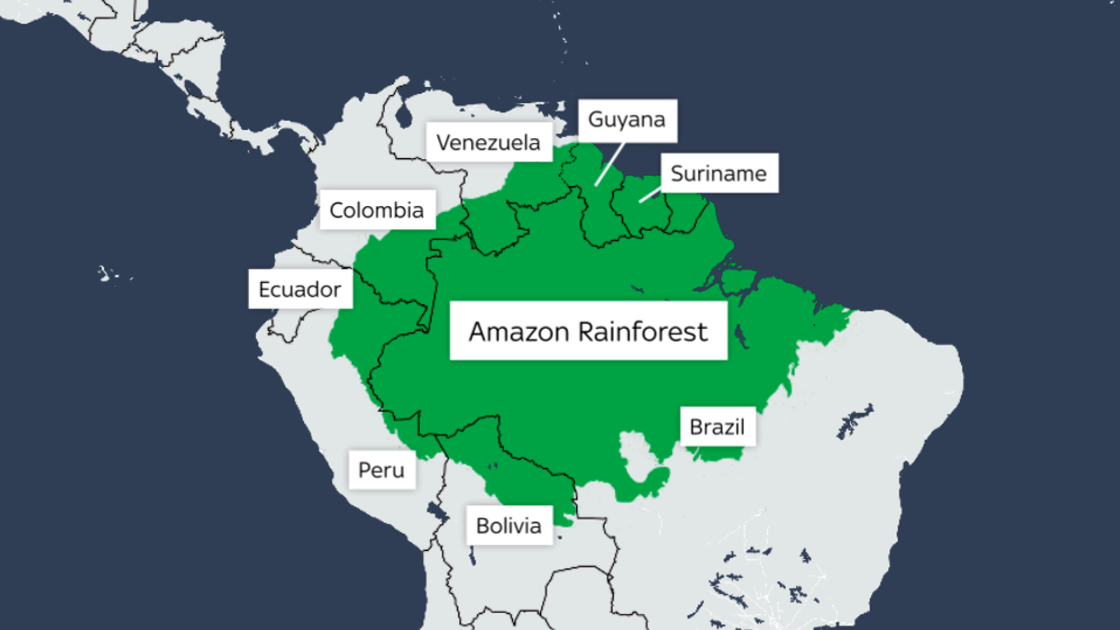 Countries are meeting to talk about Amazon rainforest - here's why it's ...