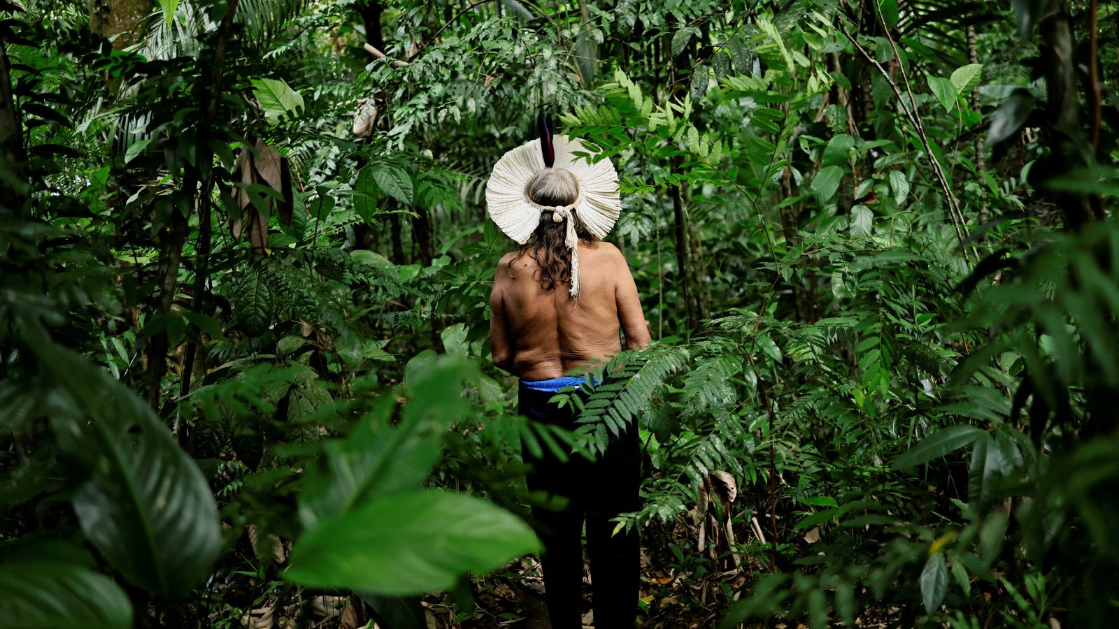 Countries are meeting to talk about Amazon rainforest - here's why it's ...
