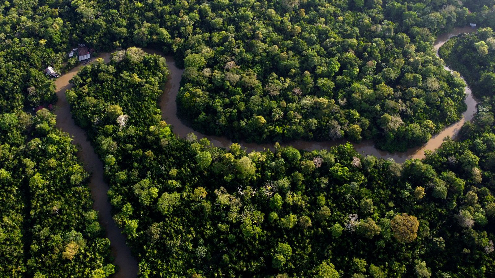 Amazon countries fail to agree on deforestation goal as they call on ...