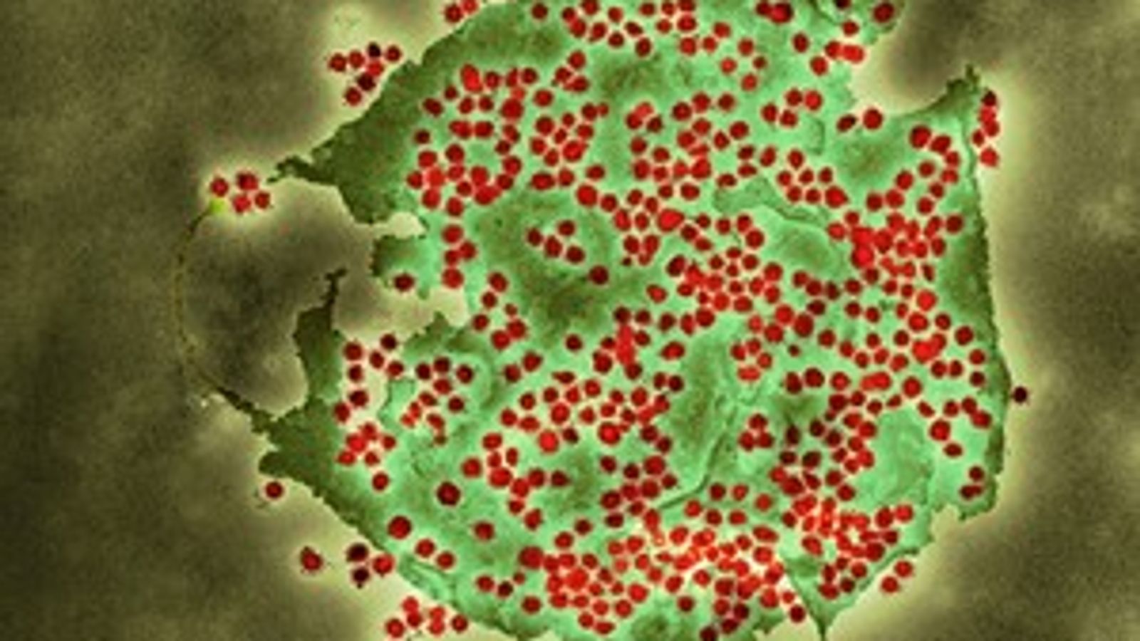 COVID outbreak in care home sparks 28 cases of new variant | UK News ...