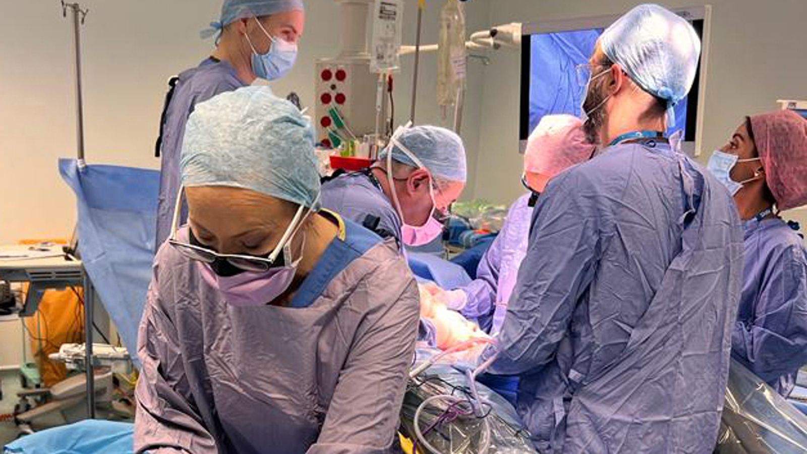 UK's first-ever womb transplant hailed by doctors as 'dawn of new era ...