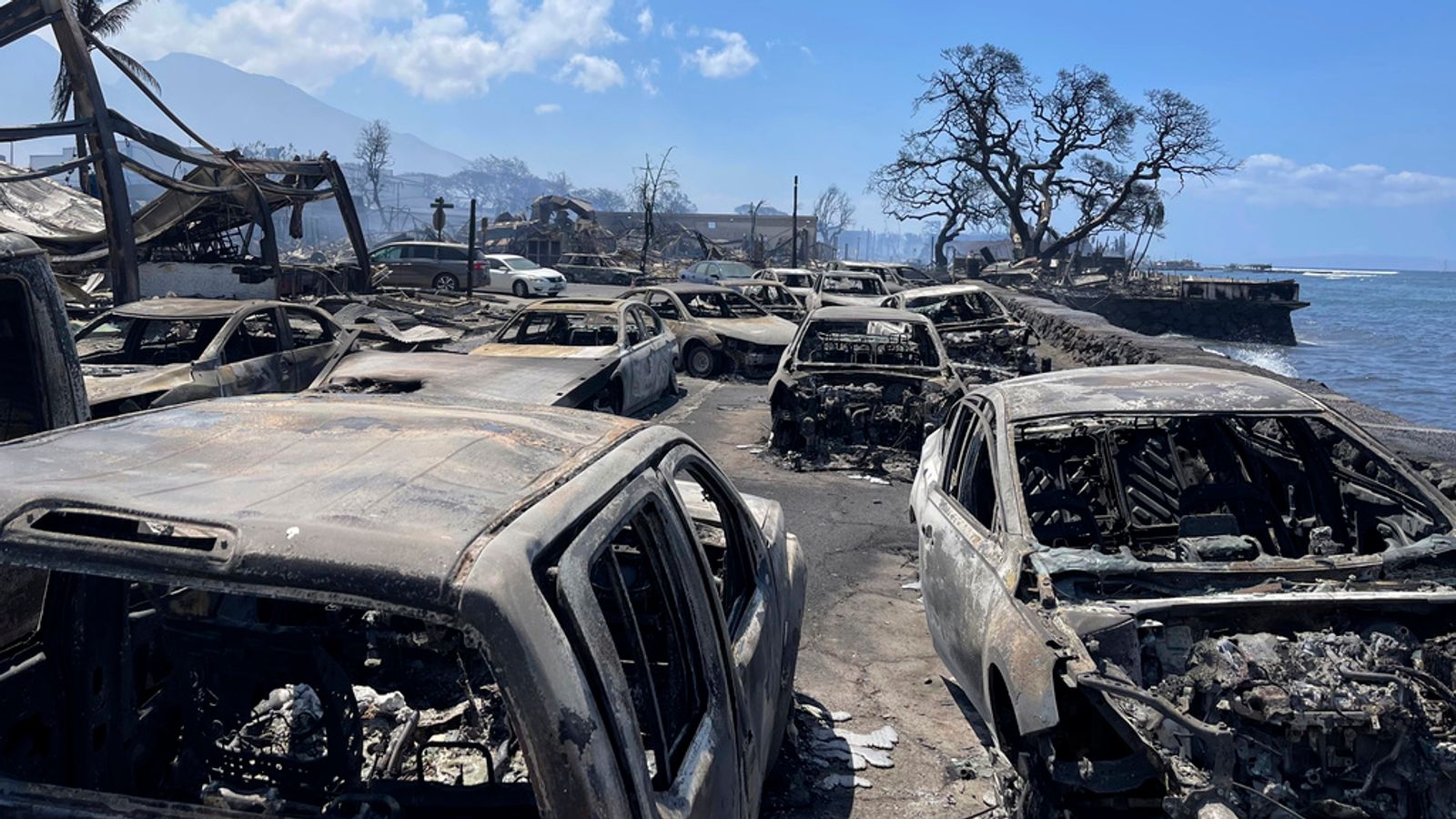 Hawaii wildfires: Joe Biden declares 'major disaster' - as mass ...
