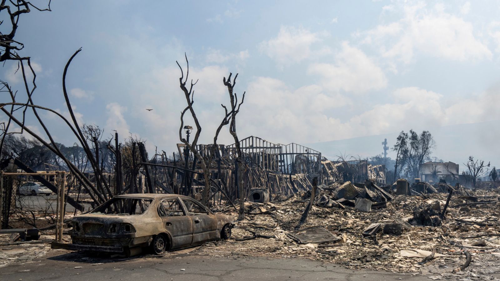 Hawaii wildfires: Are climate change and 'highly flammable' grass ...