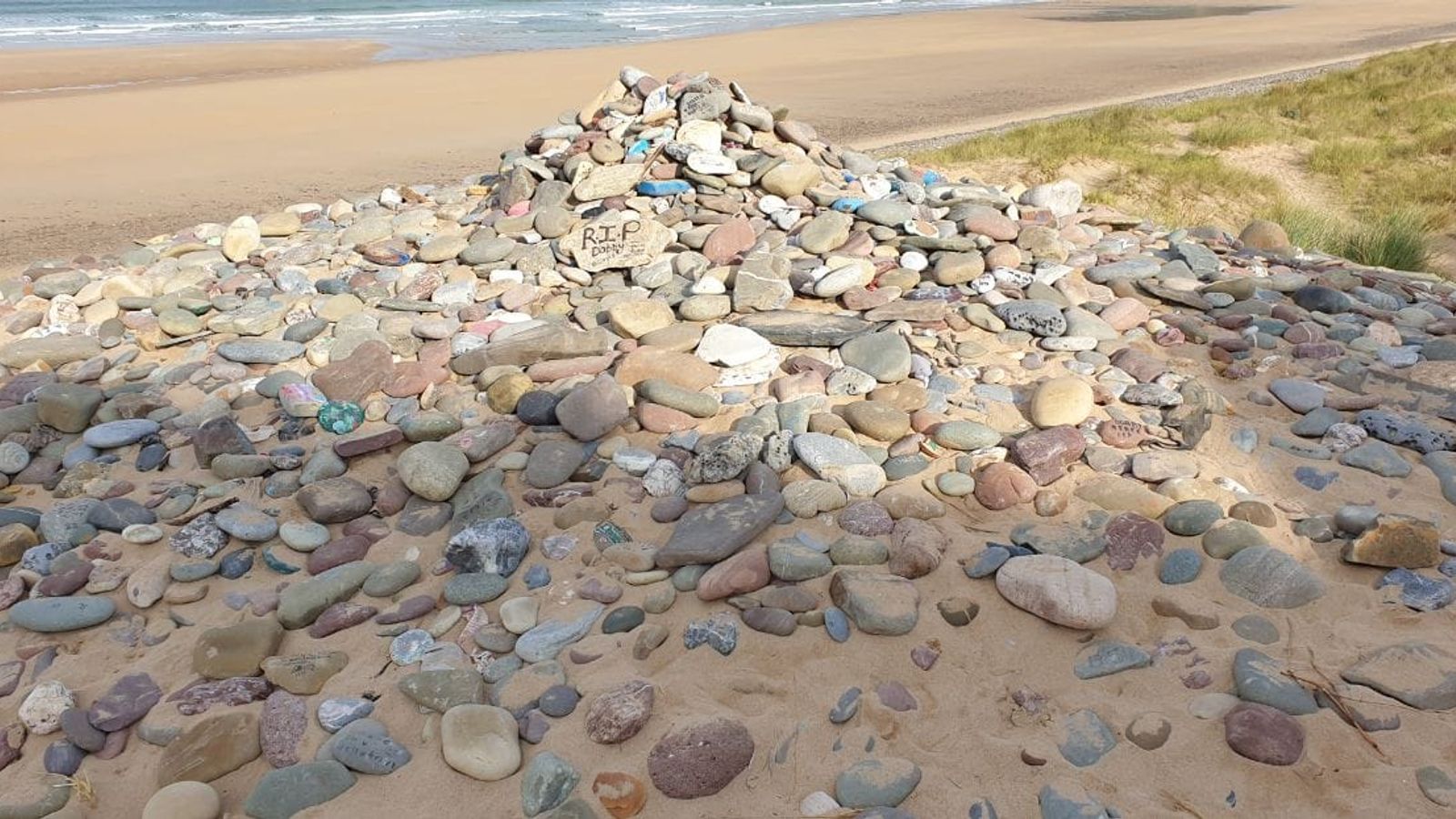 Harry Potter: Visitors urged not to leave socks at Dobby's memorial in ...