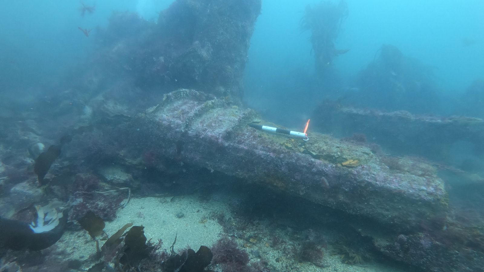 Wreck of Europe’s first commercial steamship The Comet given protection ...