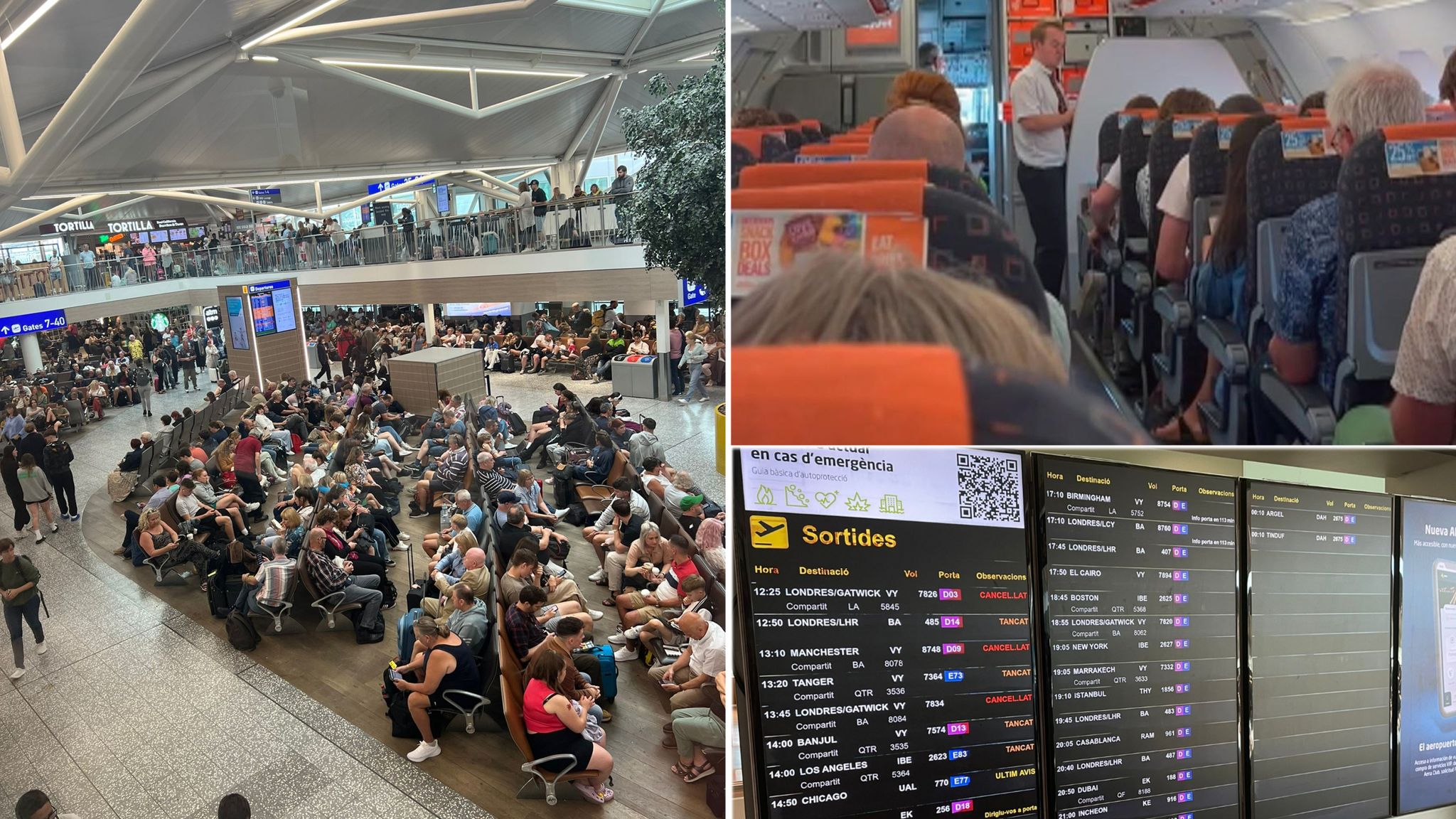 Major flights disruption caused by 'extremely rare set of circumstances ...