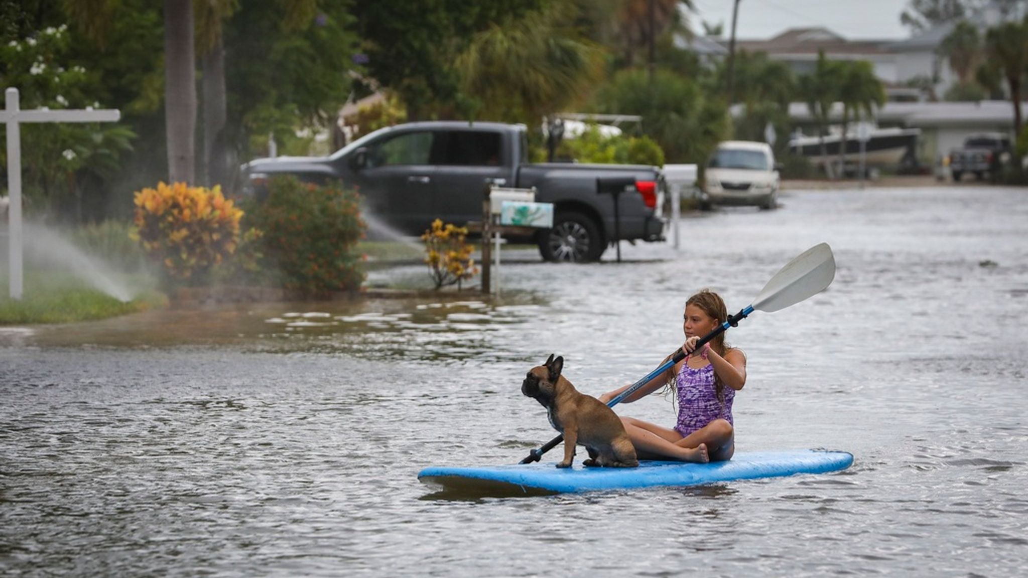 Hurricane Idalia: Tree falls on Ron DeSantis' house moments after he ... Hurricane Idalia: Tree falls on Ron DeSantis' house moments after he ...