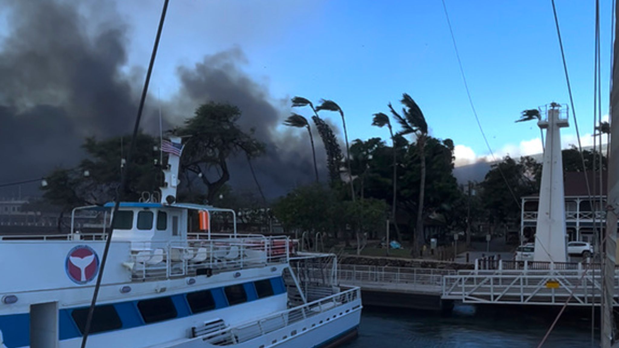 Hawaii wildfires: At least 36 people dead after flames destroy large ...