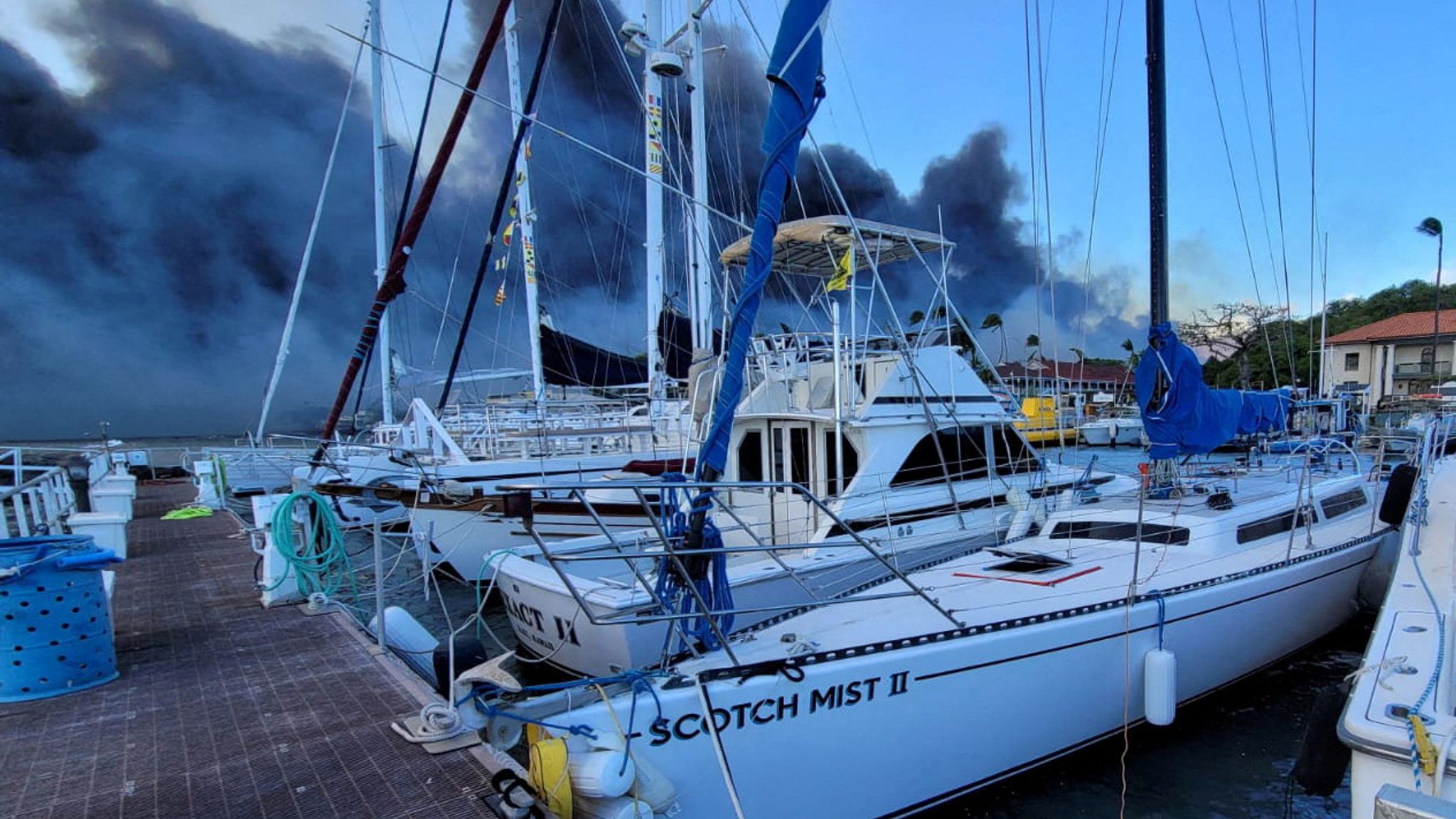 Hawaii wildfires: At least 36 people dead after flames destroy large ...