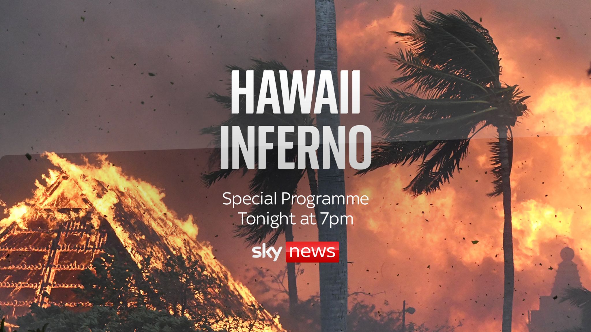 Hawaii wildfires: 'Jump in the water during a hurricane, or burn ...