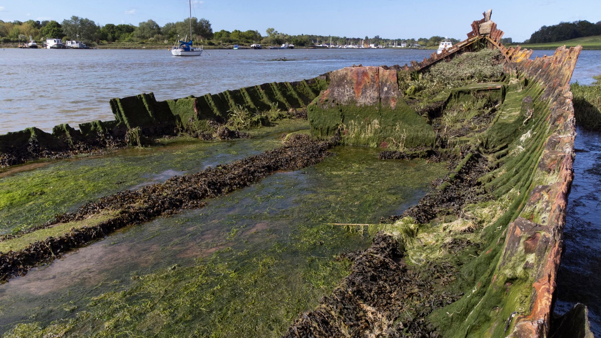 'Ghostly' remains of historic ship designed by Cutty Sark shipbuilder ...
