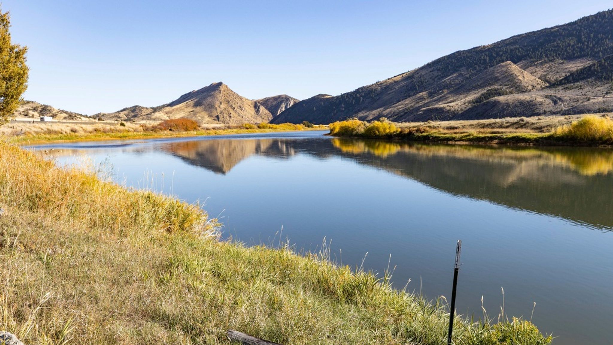 Rare river otter attack injures three women, with one airlifted to ...