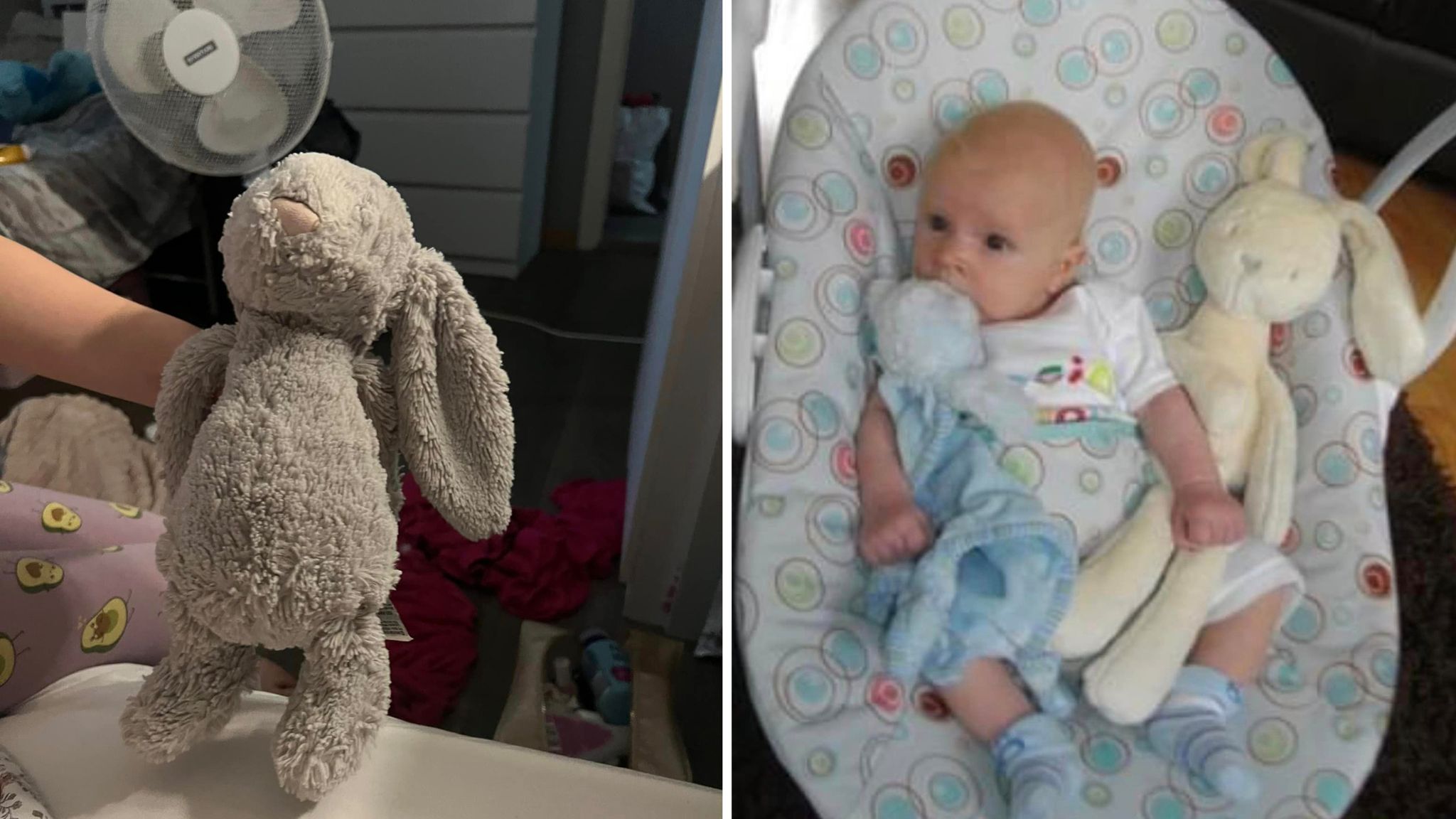 Widow's appeal to track down 'very special' toy rabbits accidentally ...
