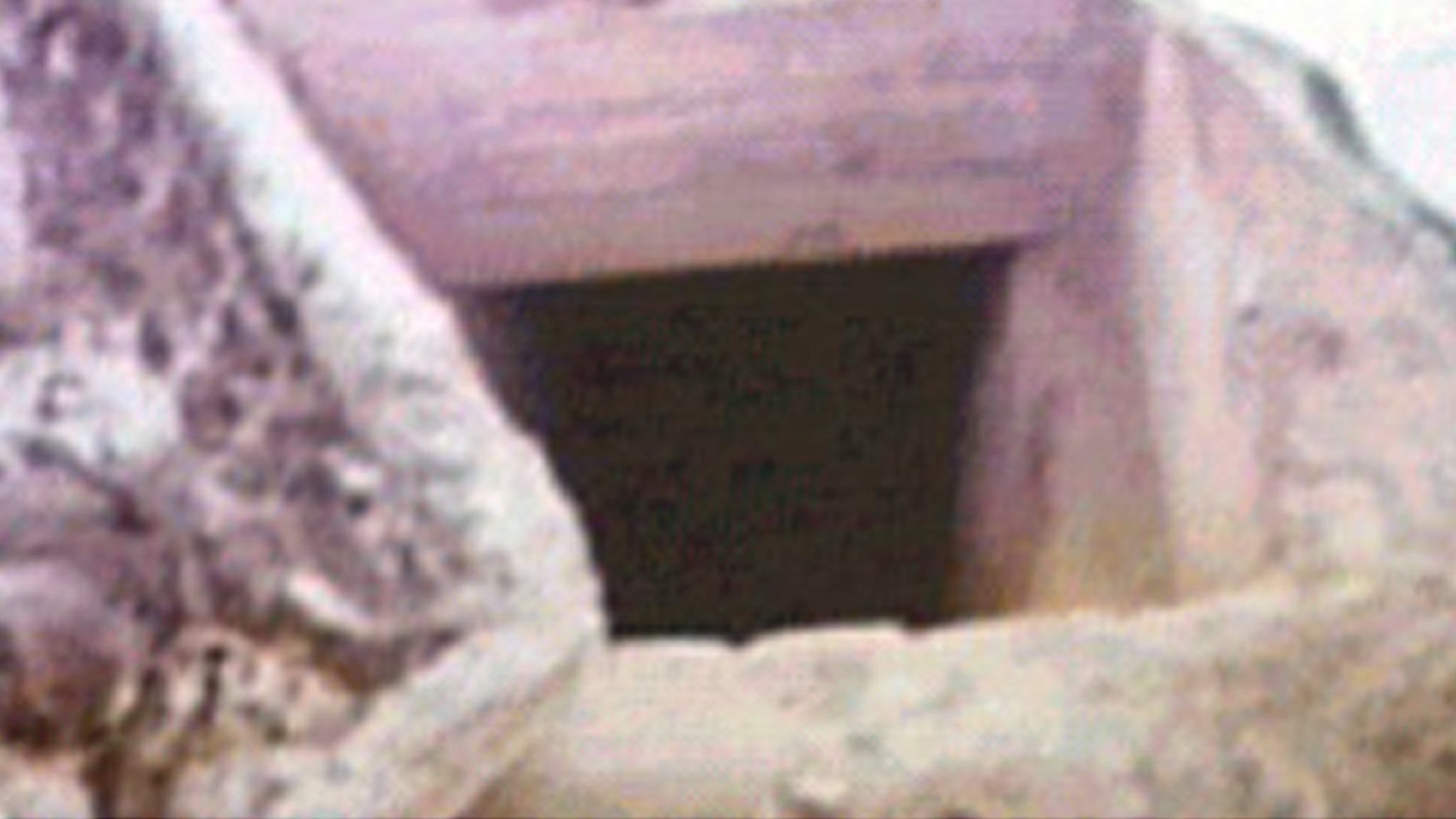 'It was like losing a family member': The US soldier who cried after ...