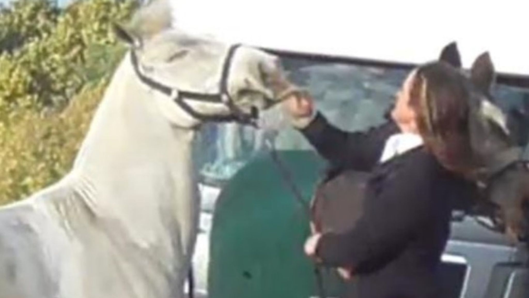 Sarah Moulds: Ex-teacher filmed 'slapping and kicking' Bruce Almighty ...