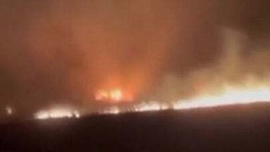 Hawaii wildfires: At least 36 people dead after flames destroy large ...