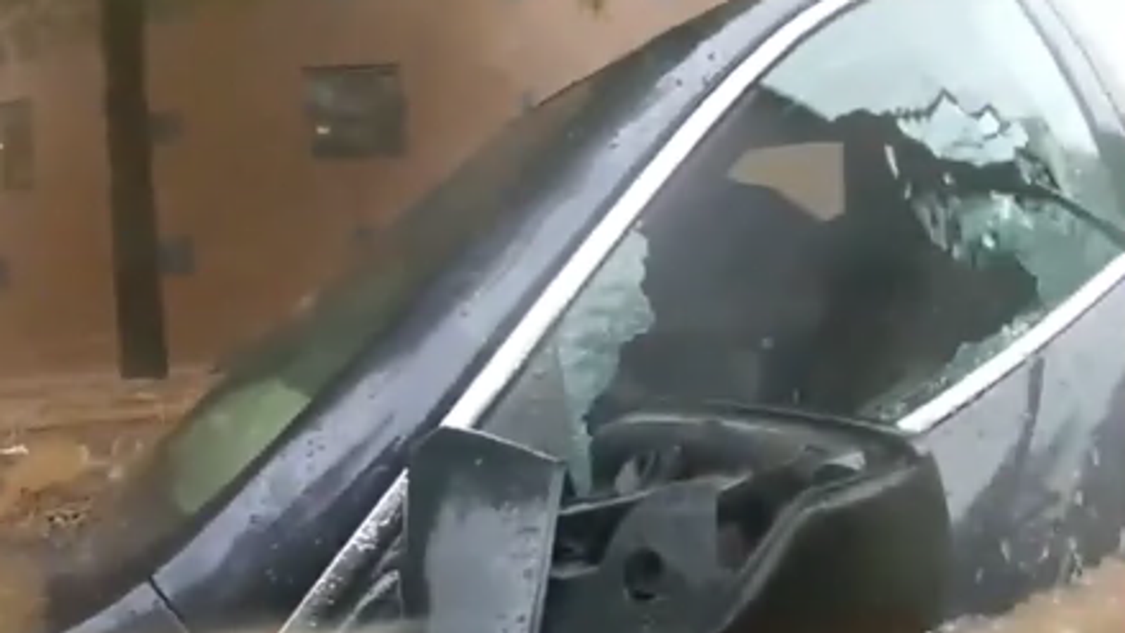 Georgia: Police officers rescue driver trapped in floodwaters in ...
