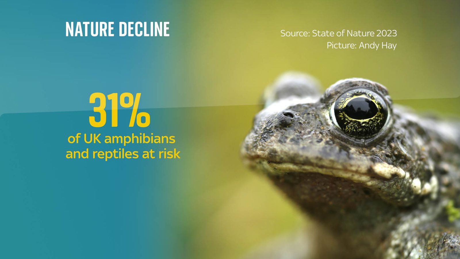 UK wildlife suffering 'downward pattern of decline' in biodiversity ...
