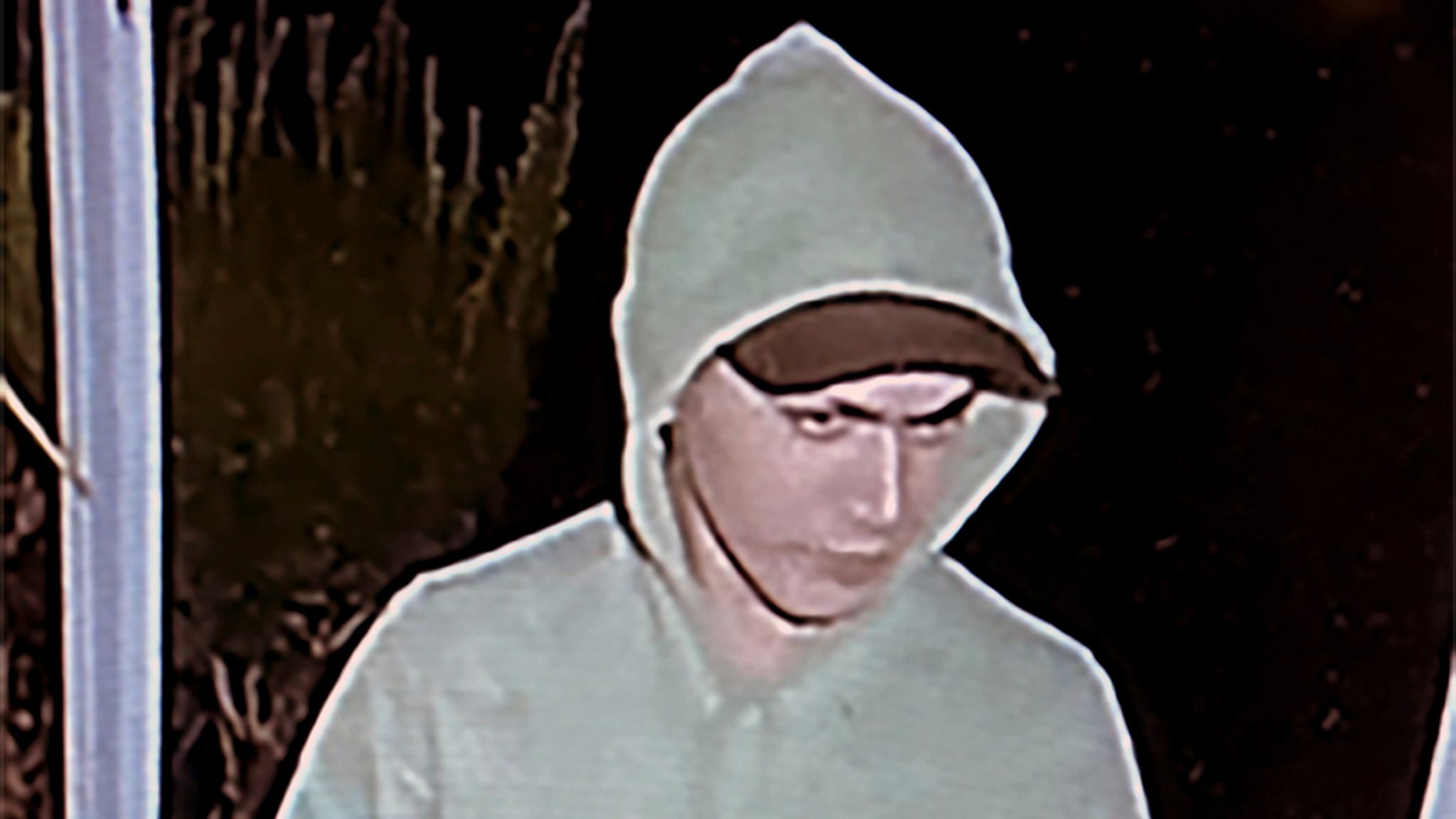 Danelo Cavalcante: Escaped murderer has stolen a van and changed his ...