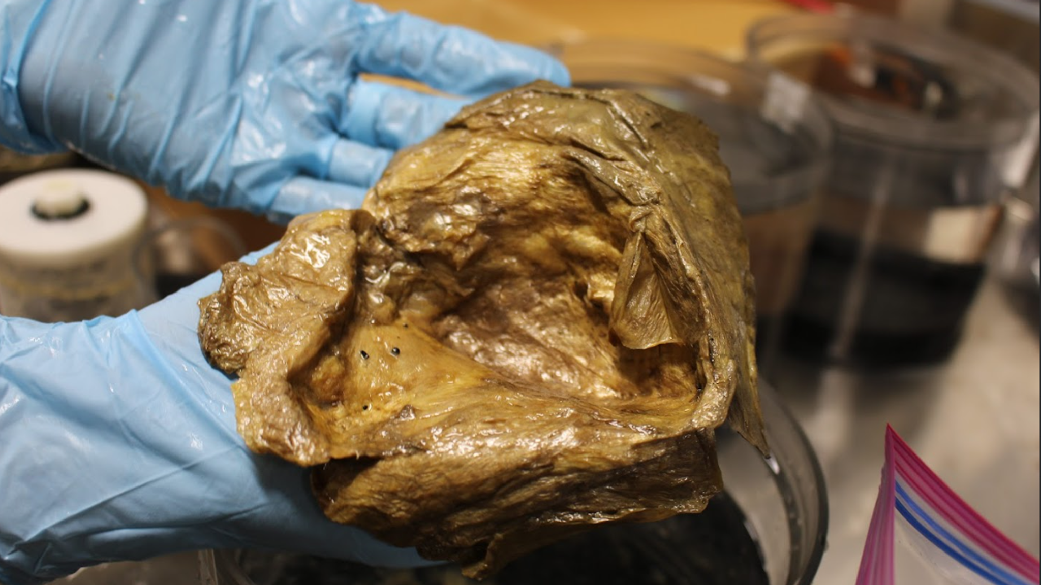 'Glittering gold blob' found on sea floor baffles scientists | World ...