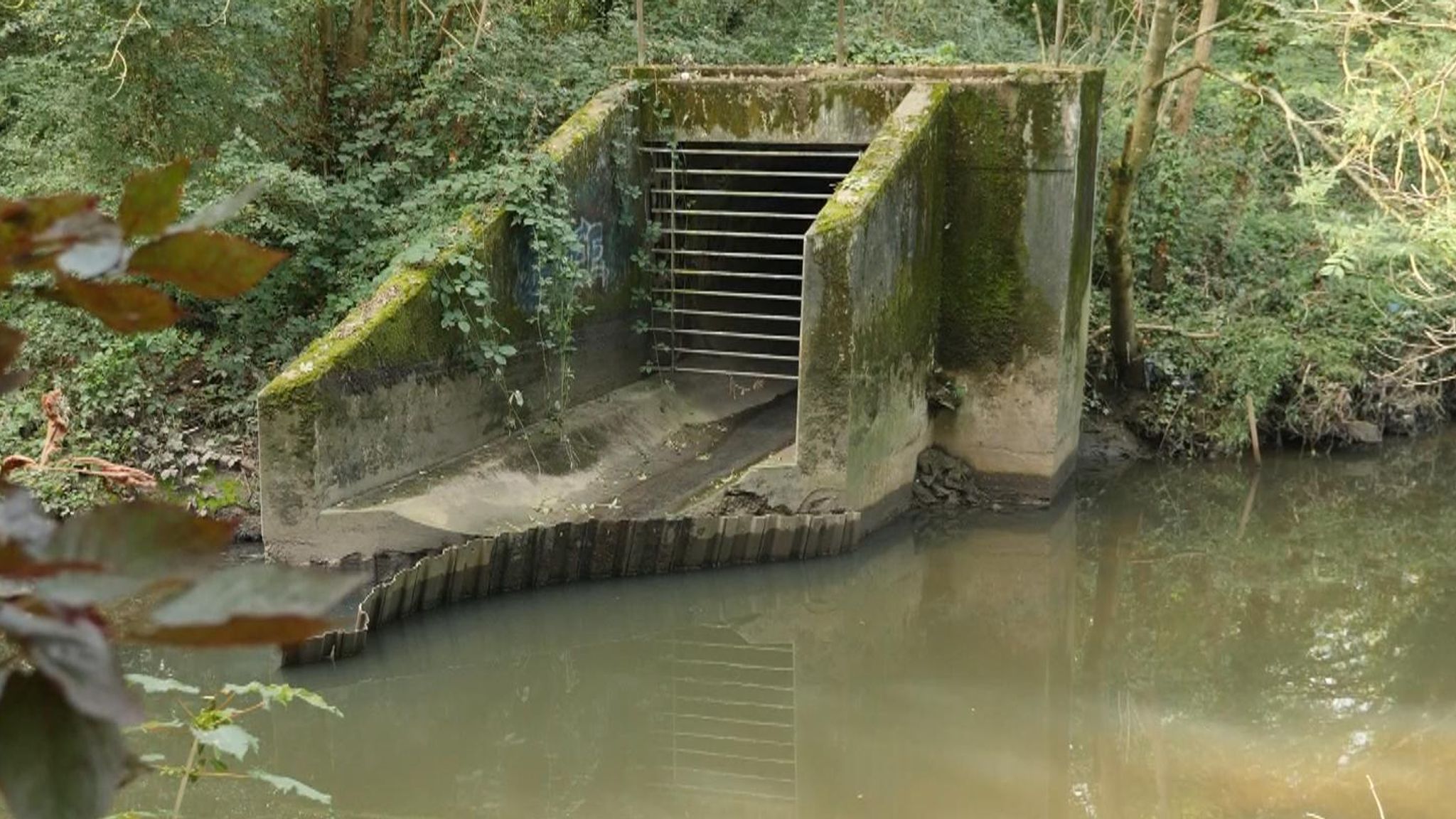 Sewage pollution: Citizen eco-warriors armed with budget shed tech ...