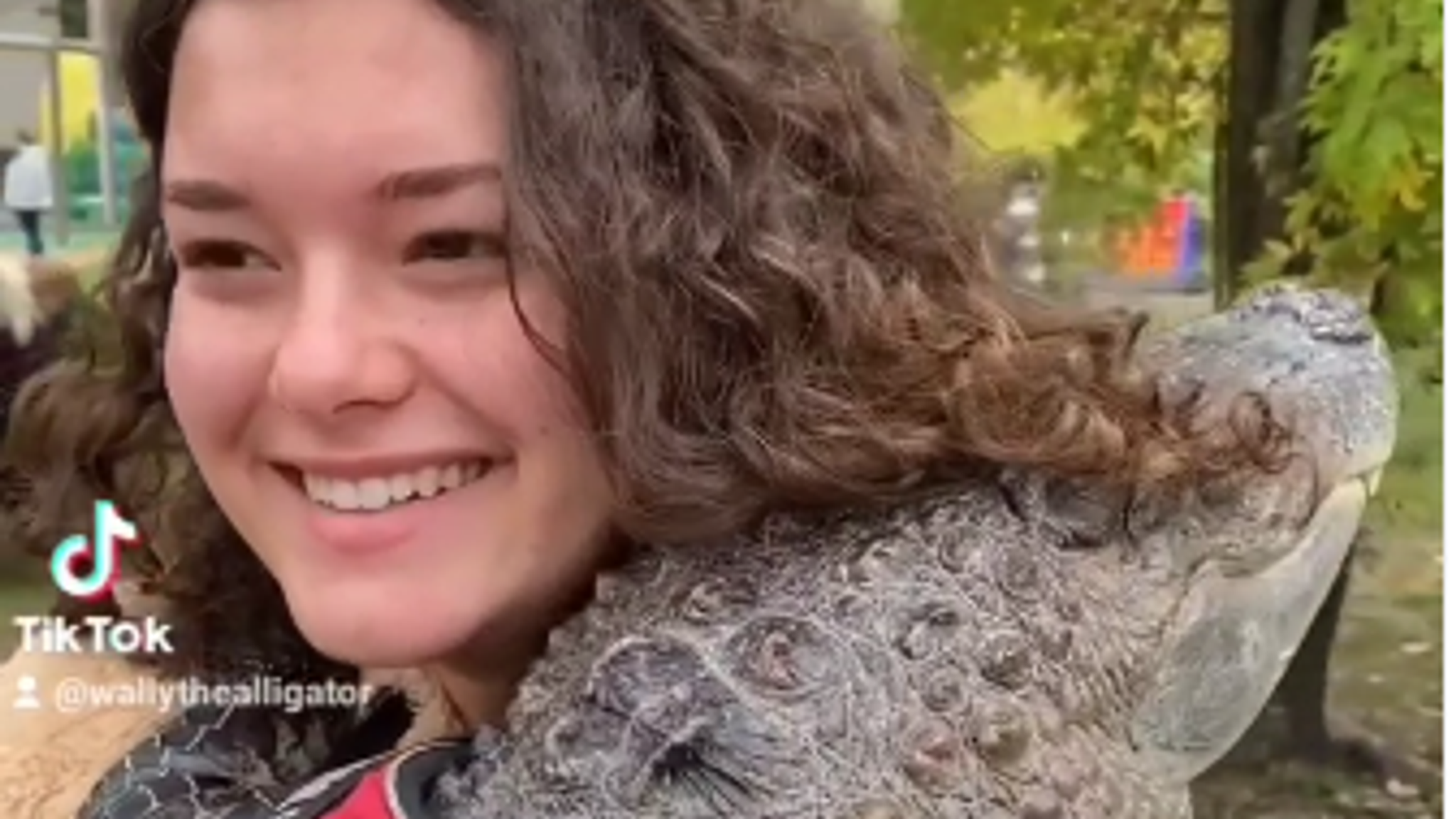 'Bring my baby back': Wally the 'emotional support' alligator goes ...