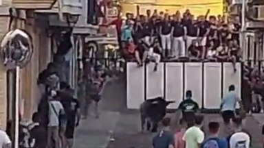 Man dies after being gored at Spanish bull-run in the Valencia region ...
