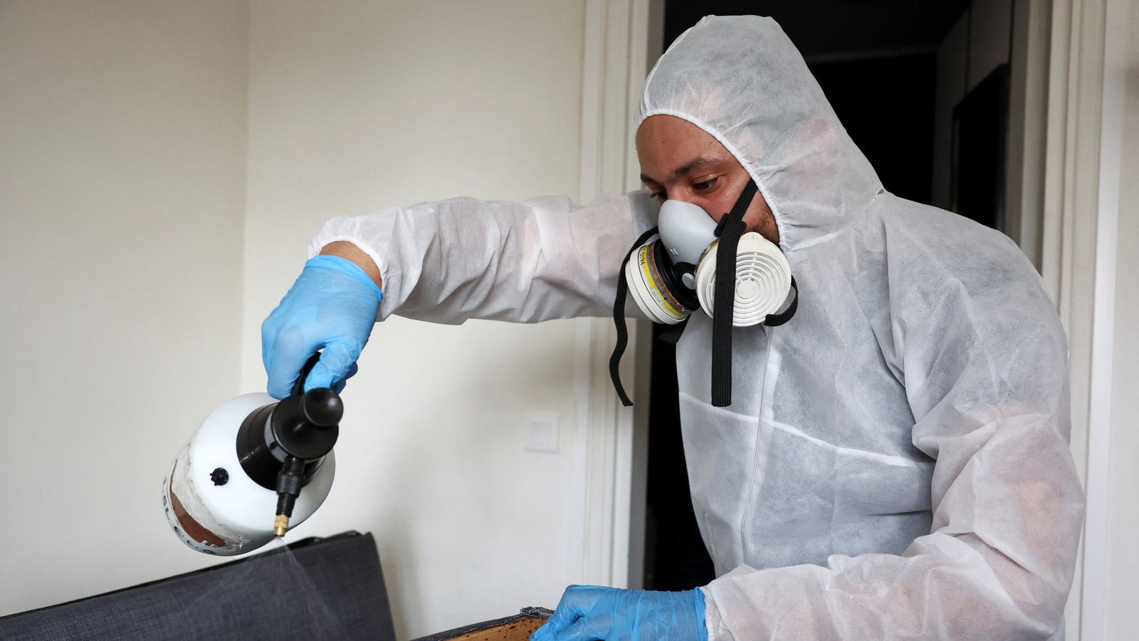 Bed bugs: Eurostar on alert as Paris grapples with infestation | World ...