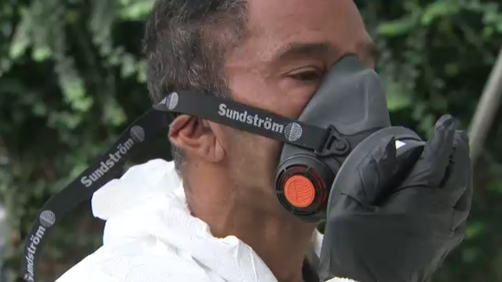 Inside a London house infested with bed bugs - as expert reveals how ...