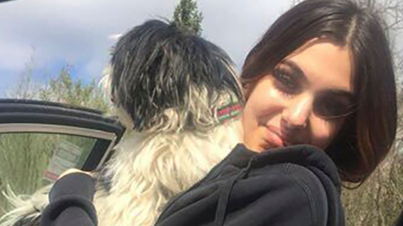 Israel-Hamas war: NBC correspondent Martin Fletcher says release of his wife's relatives is a ...