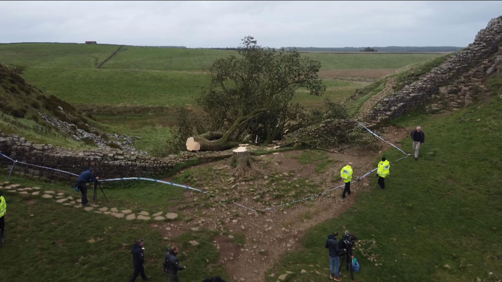 World-famous Sycamore Gap tree is cut up and removed in pieces from ...