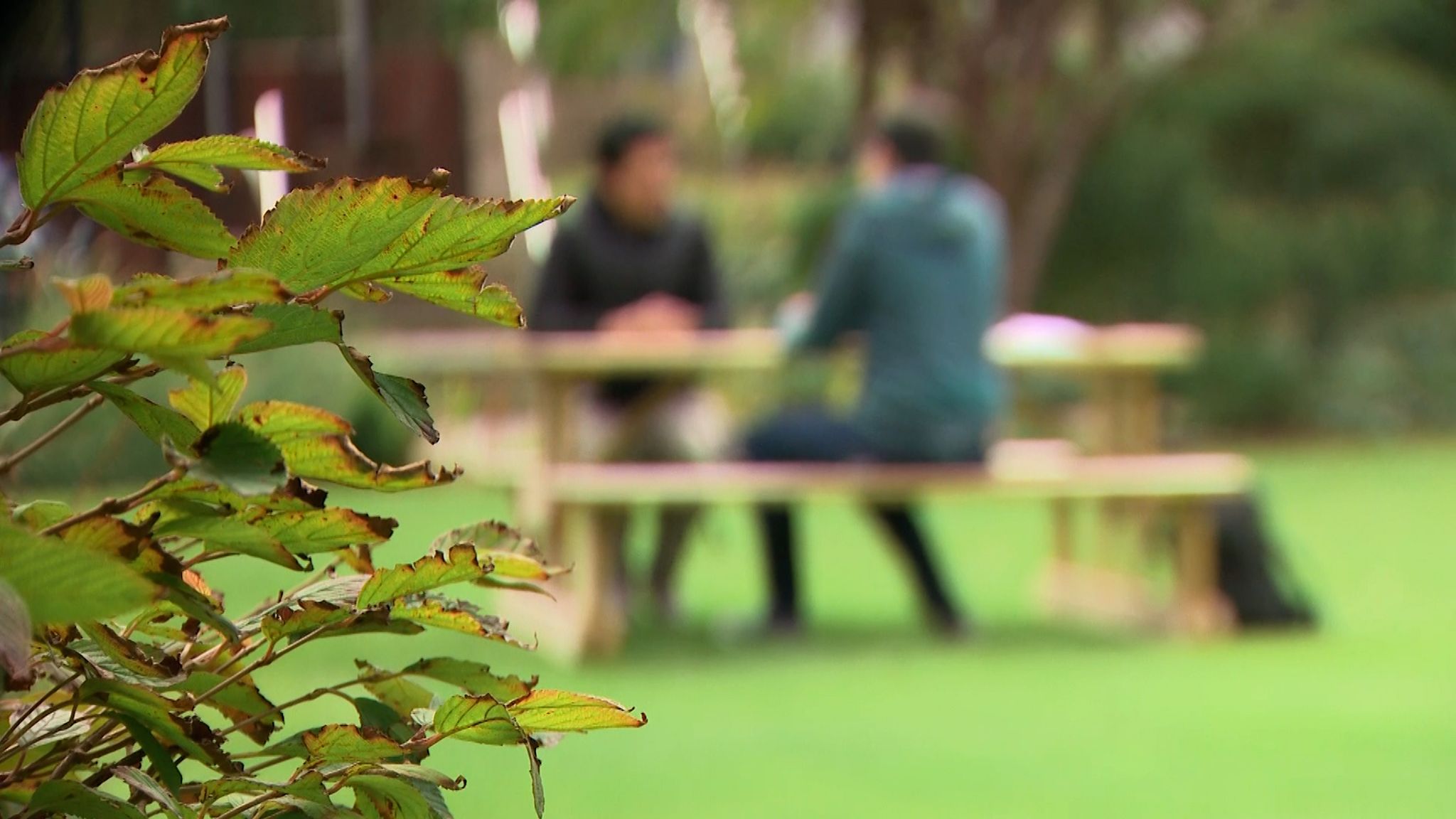 Elite Afghan commandos 'betrayed' by the British and left behind to be ...