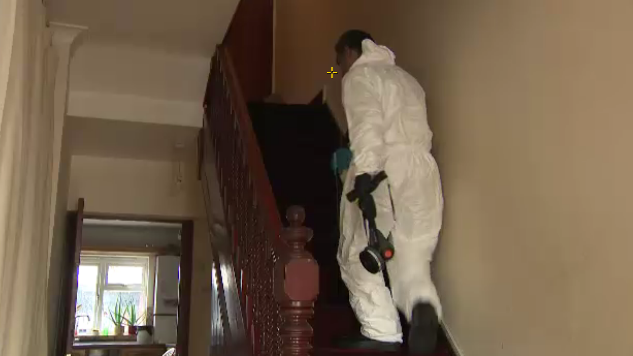 Inside a London house infested with bed bugs - as expert reveals how ...