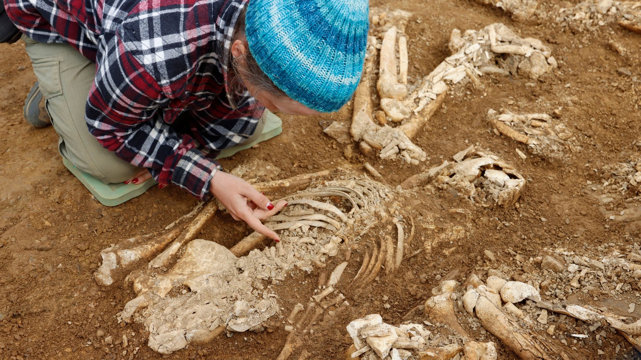 'Incredibly rare' 5,000-year-old tomb and skeletons discovered during ...