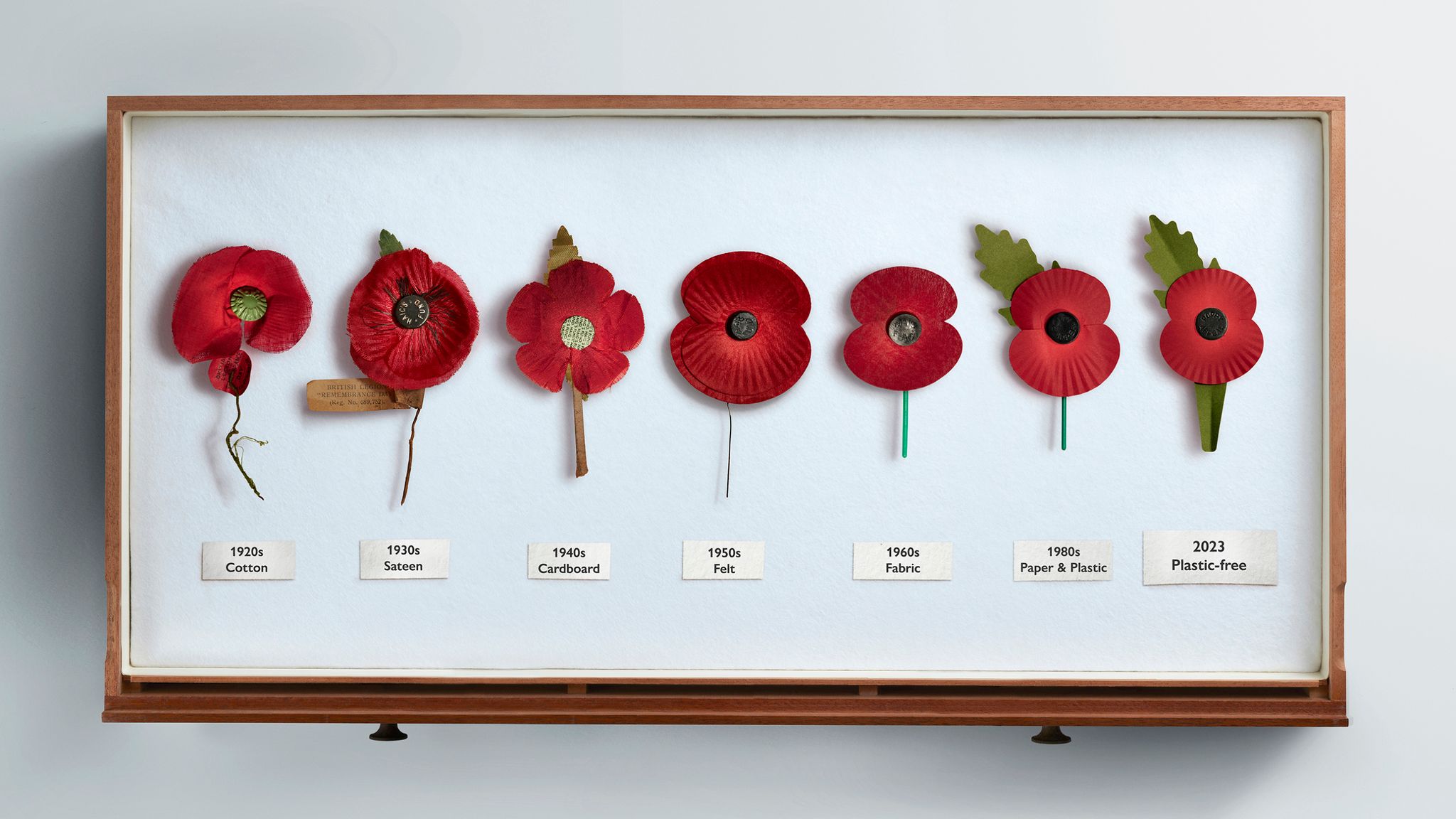 Remembrance poppies go on sale after major plastic-free redesign | UK ...