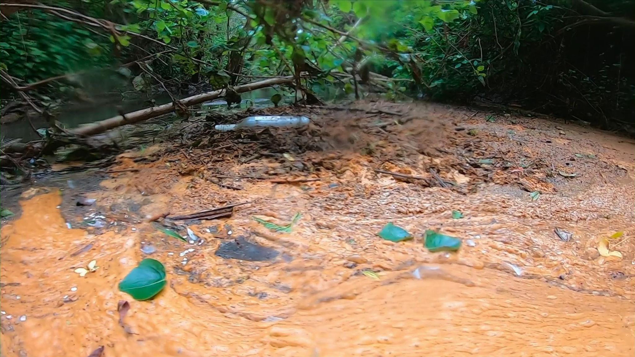 Sewage crisis: Four water firms 'responsible for 90% of serious ...