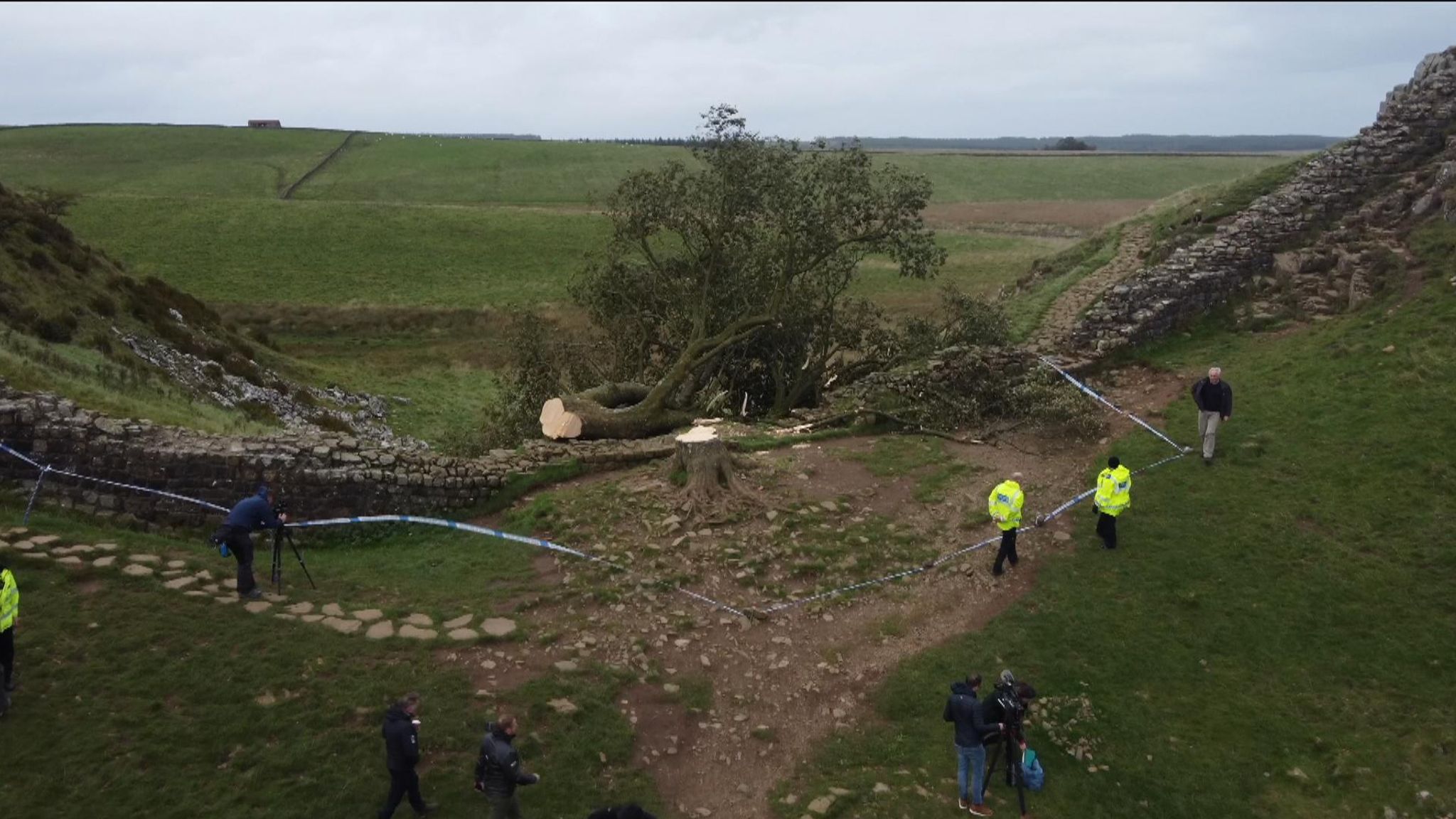 World-famous Sycamore Gap tree is cut up and removed in pieces from ...