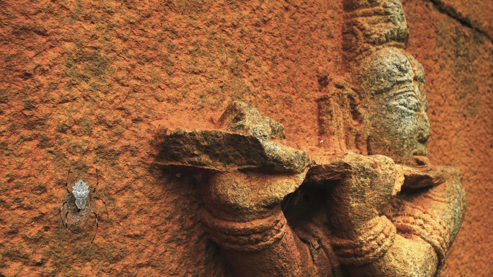 Biologist wins Wildlife Photographer of the Year for a second time ...